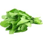 Vegetable Names in English (सब्जियों के नाम) - Spoken English Guru