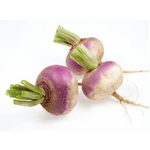 Vegetable Names in English (सब्जियों के नाम) - Spoken English Guru