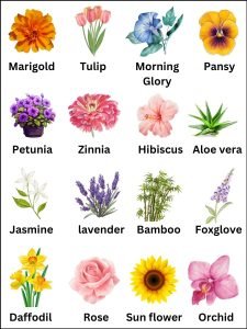 Plants Names: List of Common Types of Plants - Spoken English Guru
