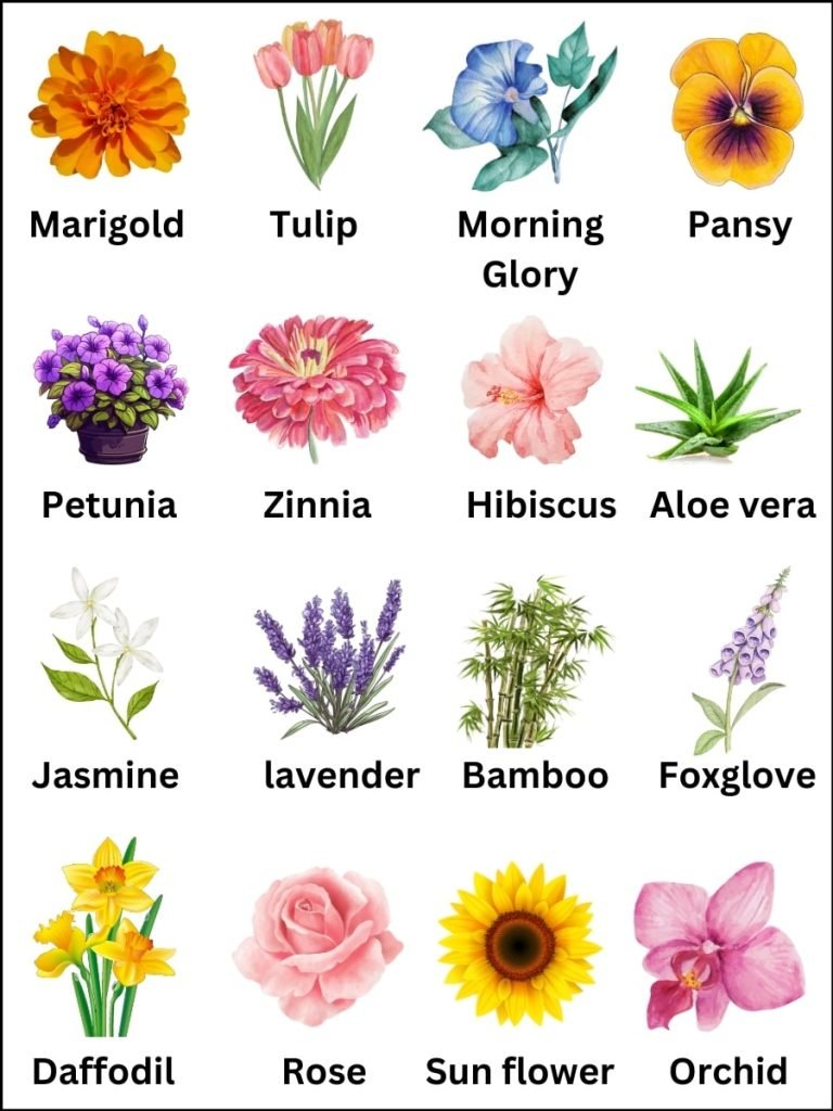 Plants Names: List of Common Types of Plants - Spoken English Guru