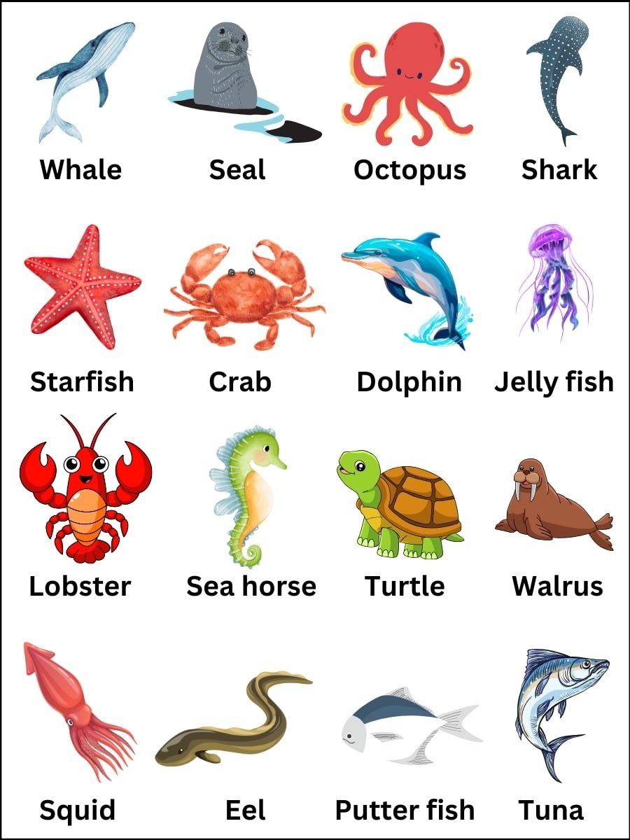 Organism Of Animals