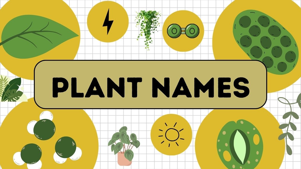 Common Plant Names List