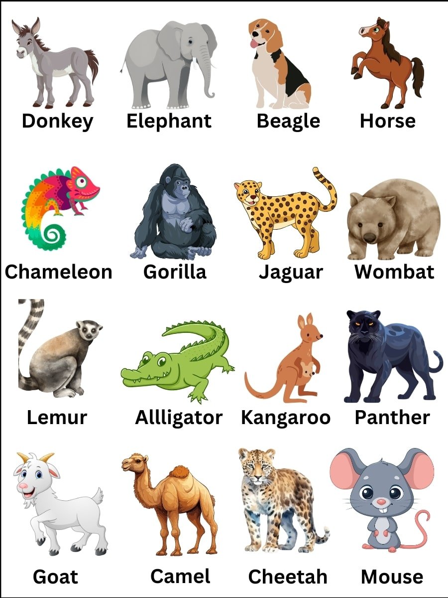 Wild Animals Names Wild Animals Name In Hindi And English Kidzncrew